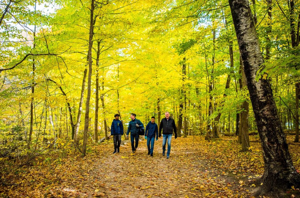 Home |Discover The North Shore of Milwaukee